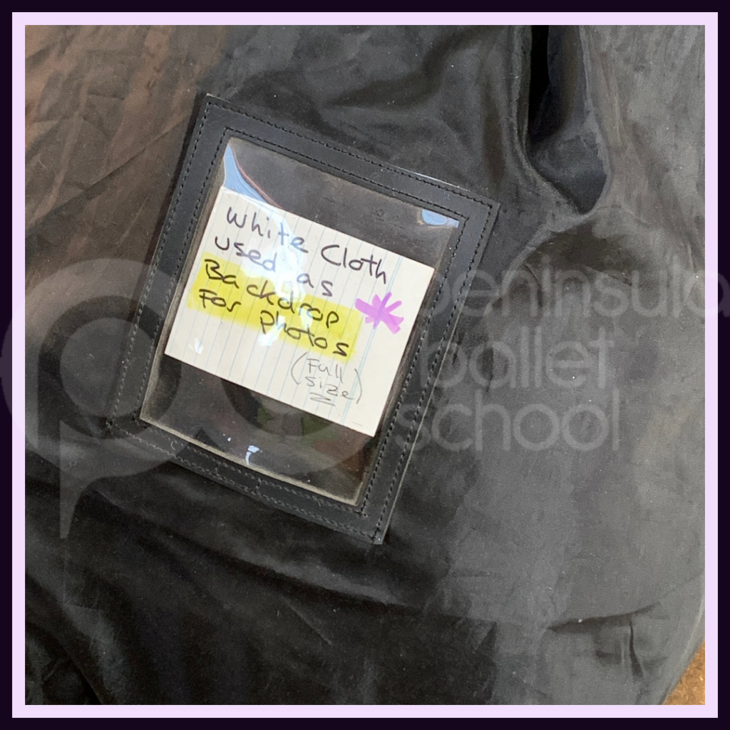 Backdrop Archives - Peninsula Ballet School