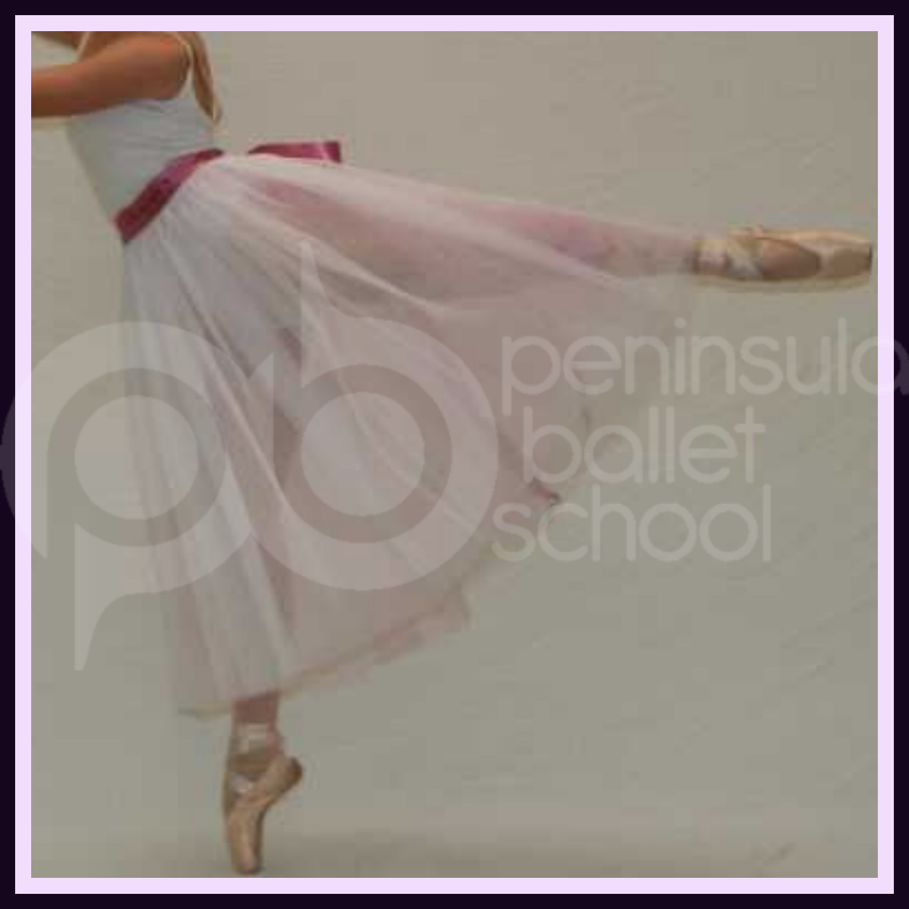 Romantic Net Skirt x 13 - Peninsula Ballet School