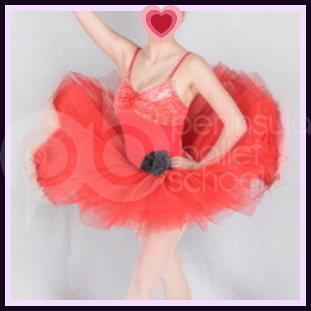 Half Tutu x 4 - Peninsula Ballet School