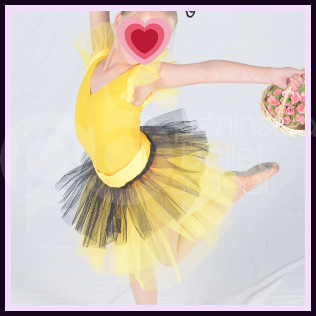 Set Archives - Peninsula Ballet School